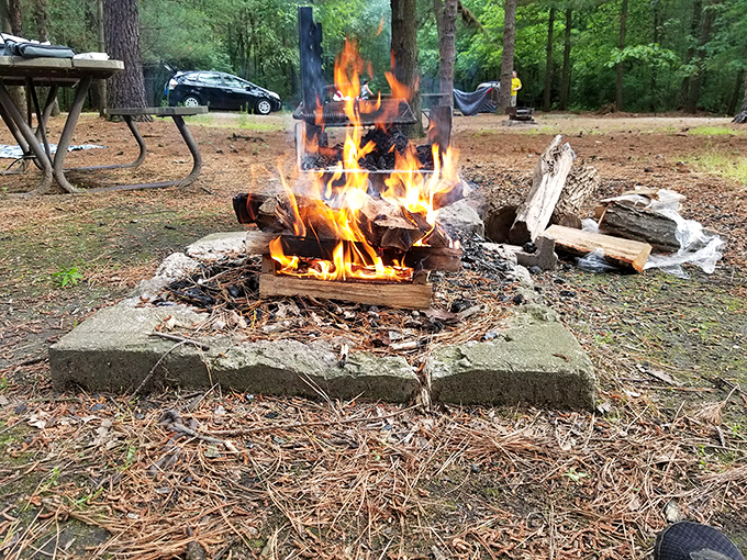 Every proper camping trip requires a crackling fire. This stone-ringed blaze transforms ordinary hot dogs into gourmet wilderness cuisine.