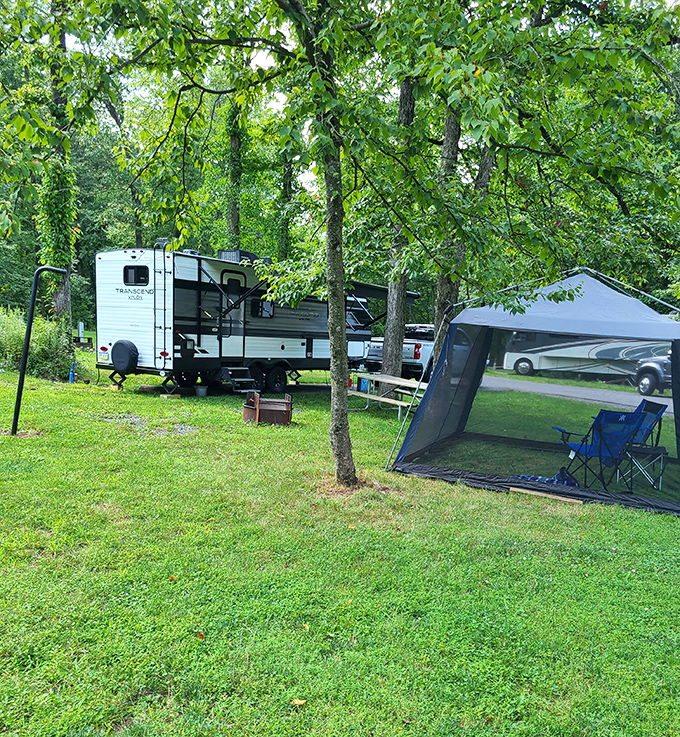 Camping with modern comforts &ndash; where wilderness meets Wi-Fi. Those trees have seen everything from burnt marshmallows to midnight bathroom dashes. 