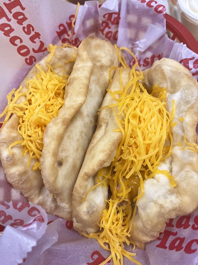 Cheese on flour tacos so vibrant it could guide ships to shore. The yellow brick road leads straight to your stomach.