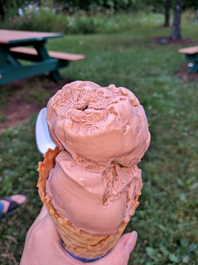 Brownie chunks nestled in custard like treasure in a delicious archaeological dig. Indiana Jones never found anything this satisfying.