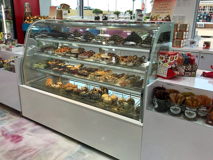 Gaze upon chocolate heaven: handcrafted truffles arranged with the care and precision usually reserved for fine art or nuclear physics.