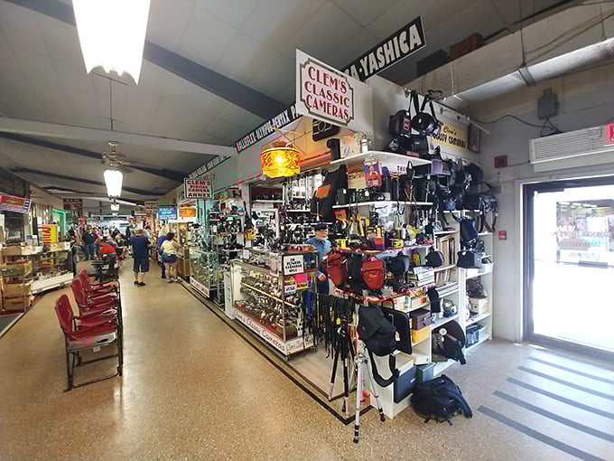 Vintage camera heaven where photography buffs can reminisce about film, darkrooms, and when "developing pictures" took longer than a millisecond.