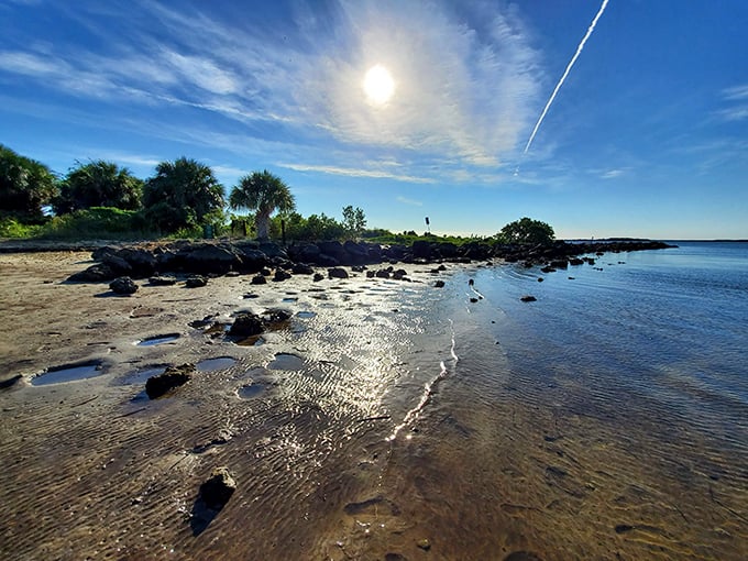 Morning light dances across the shallows, turning ordinary shoreline into a mesmerizing display of sun and shadow.