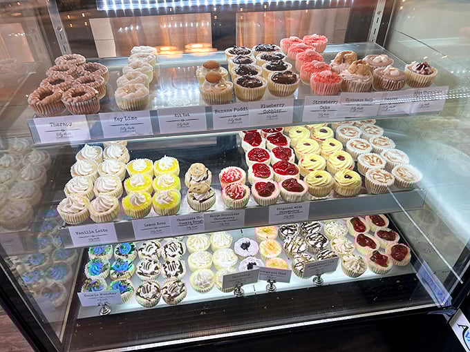 A rainbow of mini cheesecake cupcakes lined up like tiny edible soldiers &ndash; portion control that still feels like you're getting away with something delicious.