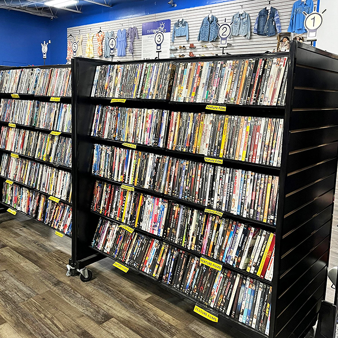 DVD heaven for movie buffs who still appreciate physical media. Remember when choosing a film meant browsing shelves instead of endless scrolling?