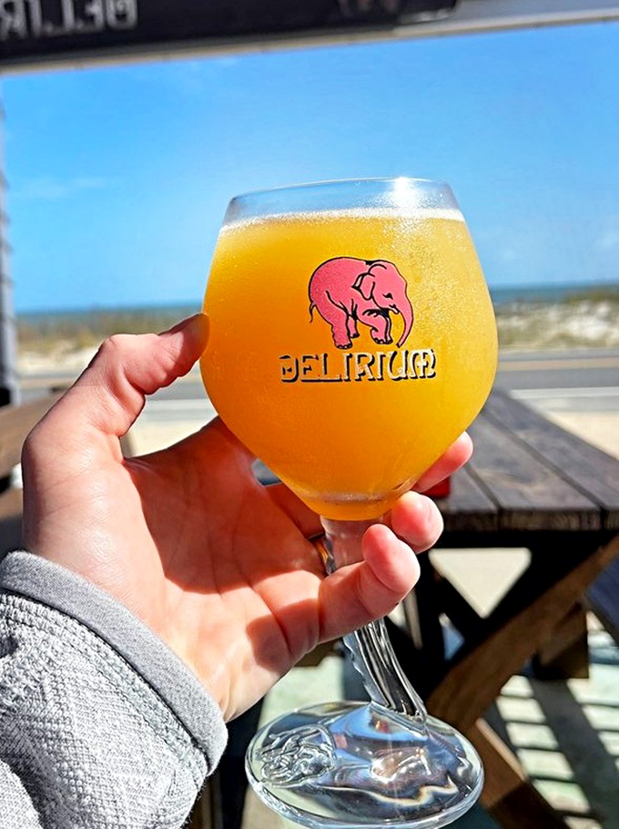 Sunshine in a glass! This Belgian-style beer with its iconic pink elephant logo promises good times with ocean views.