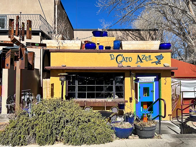 El Gato Azul brings colorful Mexican flair to downtown, making taste buds dance the salsa.