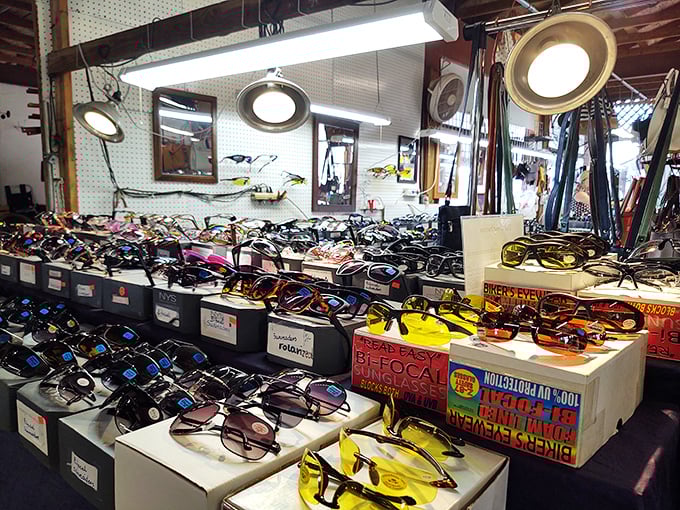 Sunglasses for days&mdash;because in Florida, eye protection isn't just fashion, it's survival equipment. The selection rivals what celebrities hide behind after questionable life choices.