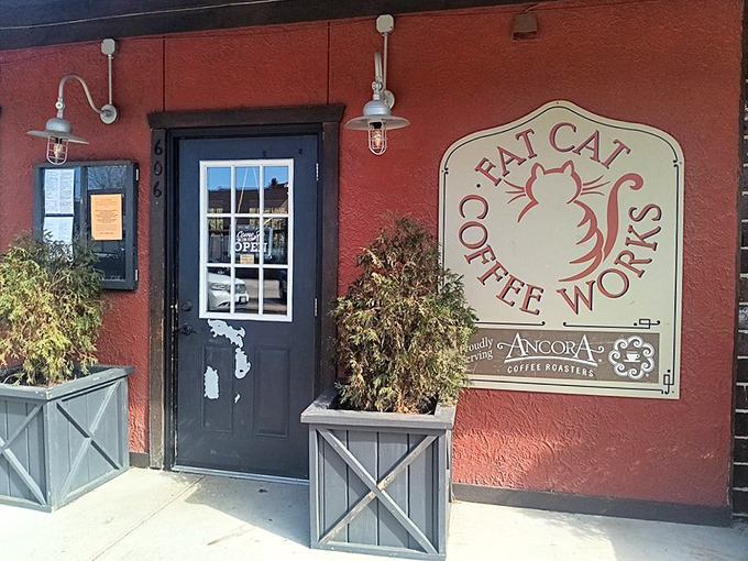 Fat Cat Coffee Works proves great coffee doesn't need big-city pretension &ndash; just a cozy red building and locally roasted beans.