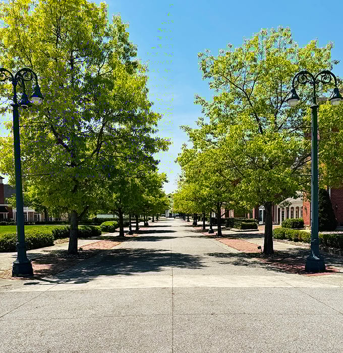 Tree-lined perfection leads visitors toward their date with basket destiny. The anticipation builds with every step.