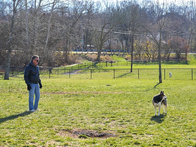 Man's best friend enjoying man's best invention&mdash;open space. This dog park offers canine citizens the freedom to be their authentic, tail-wagging selves.