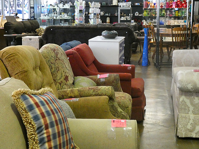 The chair lineup looks like a furniture family reunion&mdash;each with its own personality, waiting for you to decide which one belongs in your living room.