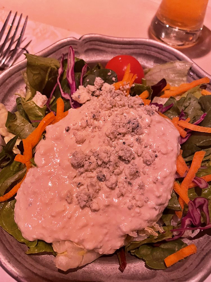 A garden salad that actually deserves its name, crowned with blue cheese dressing thick enough to make a New Yorker nostalgic.