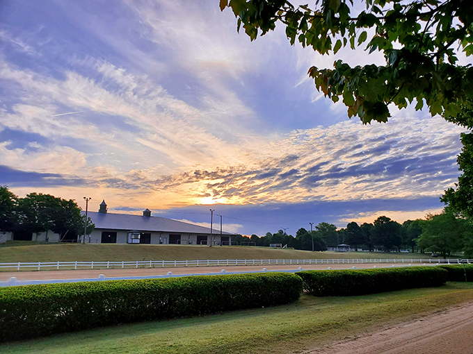 The Georgia International Horse Park at sunset—where Olympic history meets everyday serenity. Even the horses here seem to have better work-life balance than most humans.
