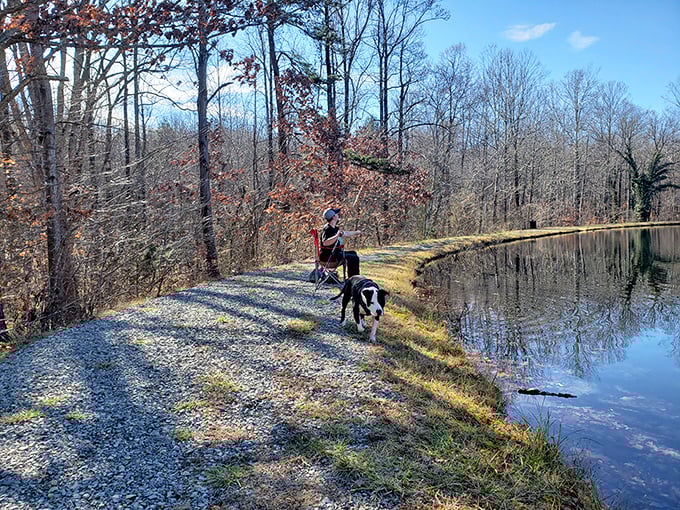 Peaceful trails wind alongside tranquil waters, offering the perfect escape for four-legged friends and their human companions.