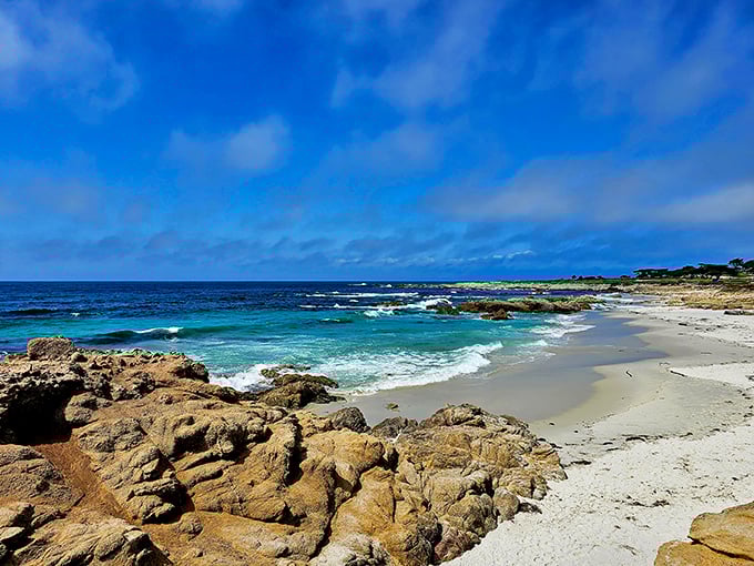 The Pacific puts on its best blue performance here, creating the kind of beach day that makes you question every life choice that led you away from California.