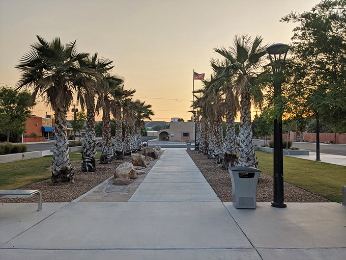 Palm trees standing at attention like desert sentinels, this plaza offers a shady respite from the New Mexico sun.