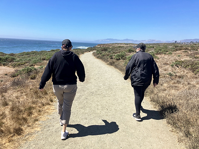 Hiking Cambria's coastal trails offers views that make even smartphone photographers look like National Geographic contributors.