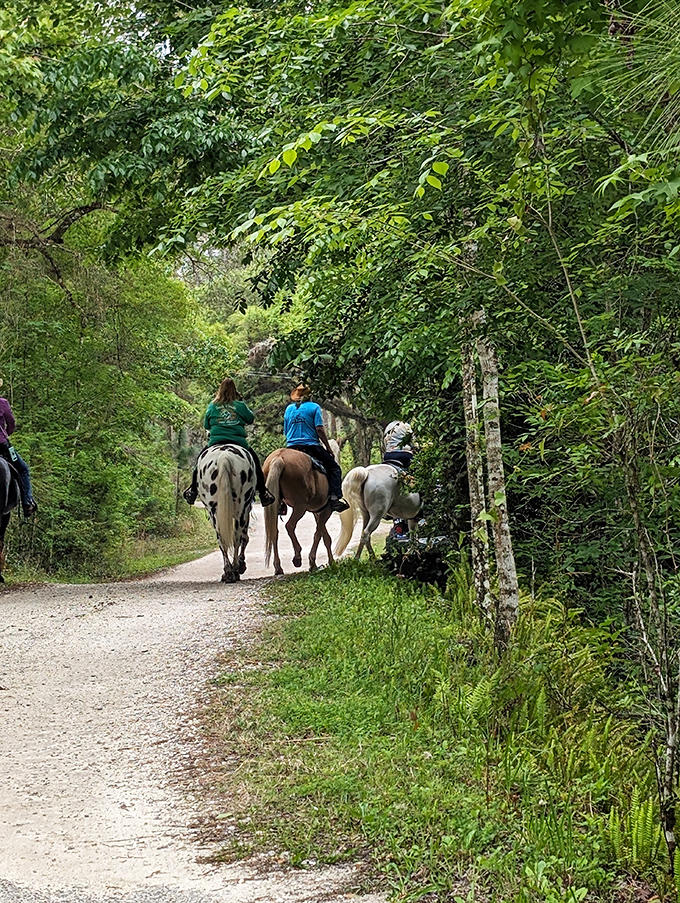 Horseback heaven through pine-scented trails. These riders are experiencing Florida the way Ponce de Le&oacute;n might have, minus the frustrating search for youth.