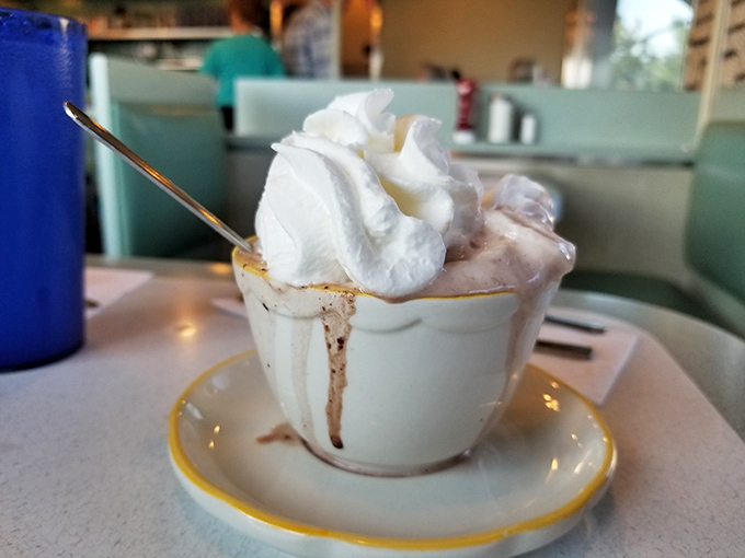 Hot chocolate that's wearing more whipped cream than I wore winter layers in the '70s. This isn't a beverage; it's dessert in disguise.