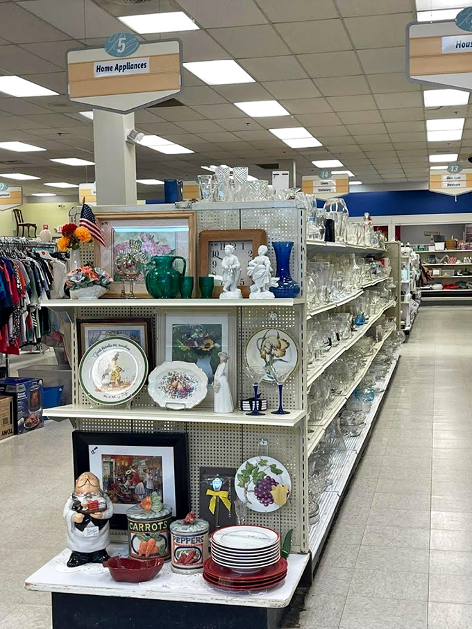 The "Home Appliances" sign guides you to domestic treasures. Those glass shelves sparkle with possibilities for your next dinner party or cabinet refresh.