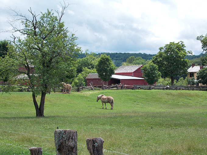 Rural tranquility just minutes from downtown&mdash;these grazing horses don't know they're part of a living postcard of pastoral perfection.