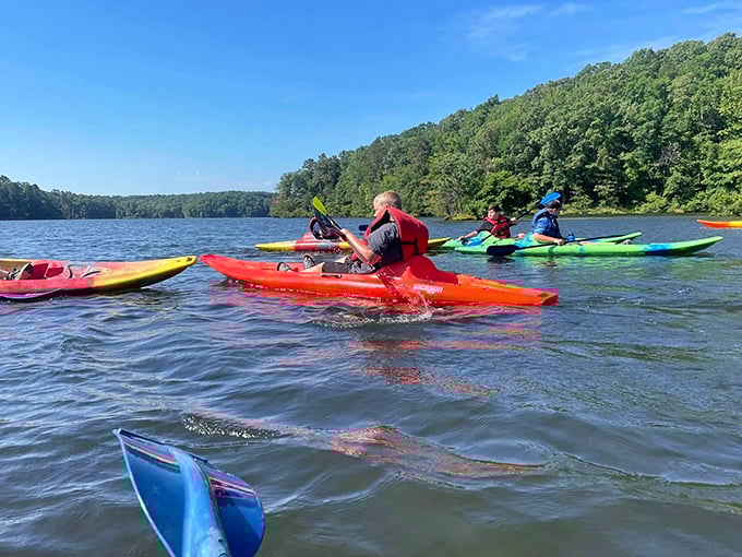 Kayaking the calm waters in technicolor vessels&mdash;like a floating box of crayons. Even the fish below must be impressed by this cheerful aquatic parade.