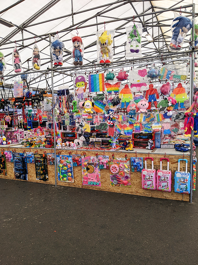 Plush paradise! Where Mario, Sonic, and rainbow-everything compete for the attention of wide-eyed kids and nostalgic adults.