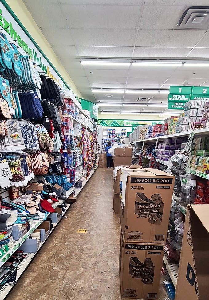 The kitchen accessories aisle &ndash; where culinary dreams and budget realities find their happy medium. Julia Child might raise an eyebrow, but your wallet will thank you.