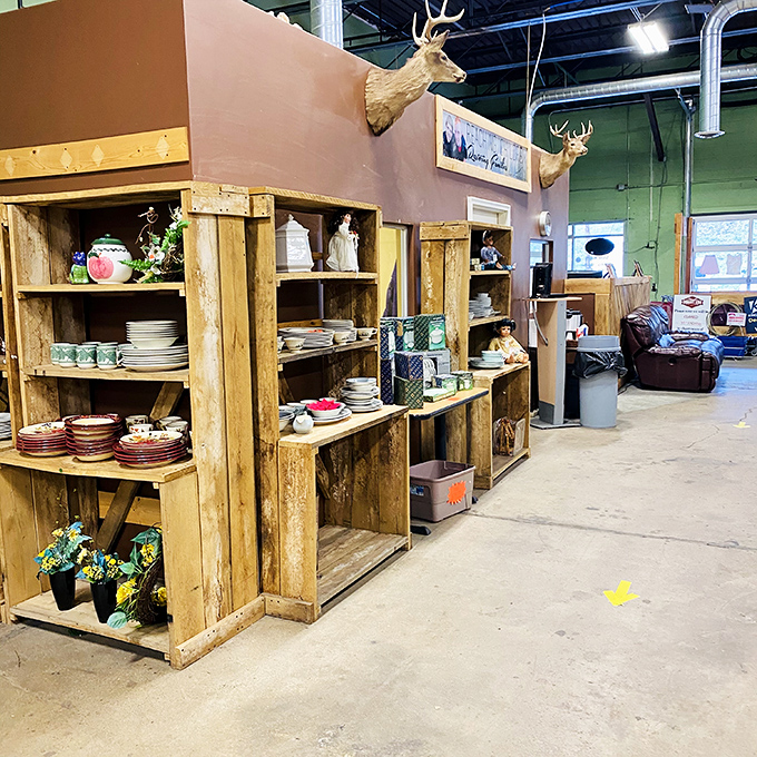 Rustic wooden shelving displays dinnerware collections that could tell stories of family gatherings spanning decades. Your table's history awaits. 