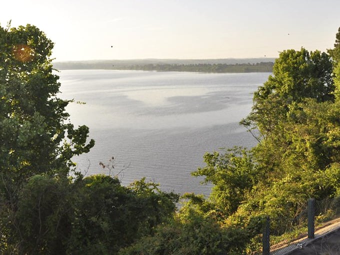 Lake Eufaula stretches toward the horizon like nature's own infinity pool, framed by trees that have witnessed countless sunsets over these waters.