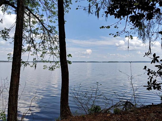 The lake stretches toward the horizon like nature's infinity pool, minus the pretentious cocktail menu and plus actual serenity.