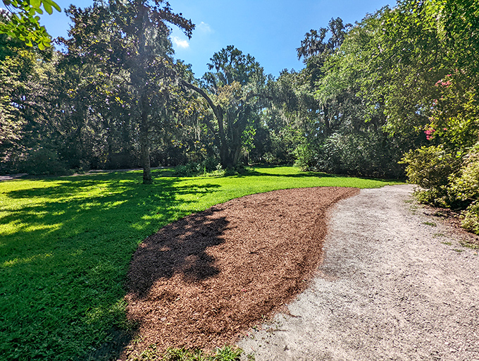 Dappled sunlight plays across pathways lined with centuries-old trees, creating the kind of tranquil moment that makes you forget about pending emails.