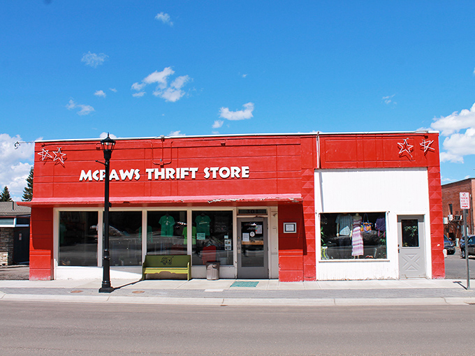 McPaws Thrift Store &ndash; where one person's "I'm done with this" becomes another's "I've been looking everywhere for this!"