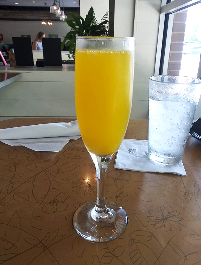 Sunshine in a glass! This mimosa isn't just a breakfast cocktail—it's permission to start your day with a splash of celebration.