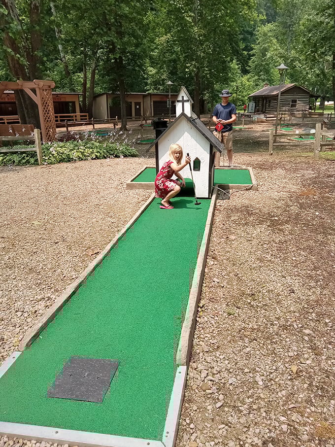 Mini-golf with maxi-charm! This whimsical course proves that even in the wilderness, there's always room for a little friendly competition.