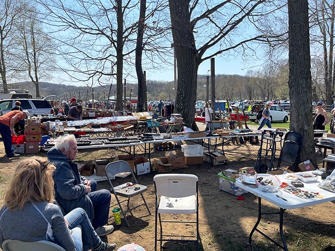 Under the watchful gaze of towering trees, vendors and shoppers engage in the ancient art of the deal. Those folding chairs aren't just seating&mdash;they're negotiation stations.