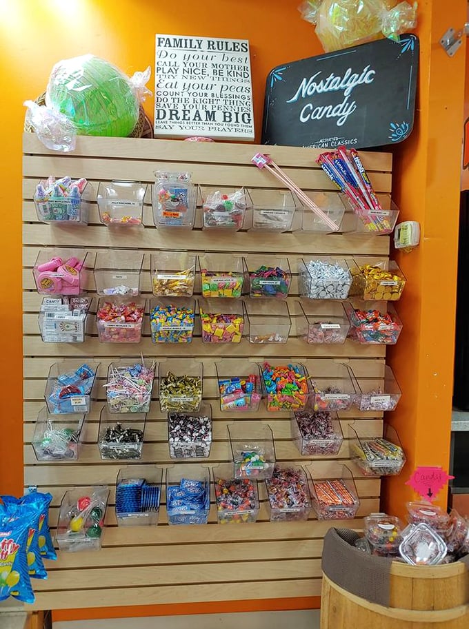 Nostalgia in clear bins &ndash; each tiny compartment holds not just candy, but time travel devices disguised as sugary morsels from decades past.