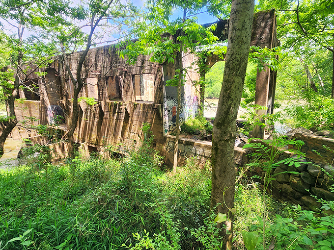 Nature reclaims what man abandoned at Oconee Mill, creating an accidental sculpture garden where industrial history and wild beauty engage in a slow dance.