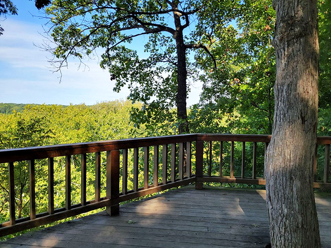 This observation deck offers front-row seats to a vista that no IMAX screen could ever compete with&mdash;and the popcorn is whatever you packed.