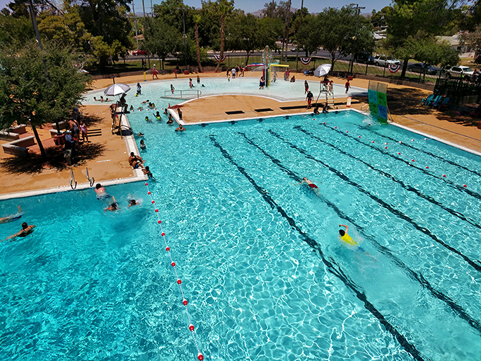 The public pool: where "I'm on a budget" meets "I feel like I'm at a resort" without the $22 umbrella drinks.