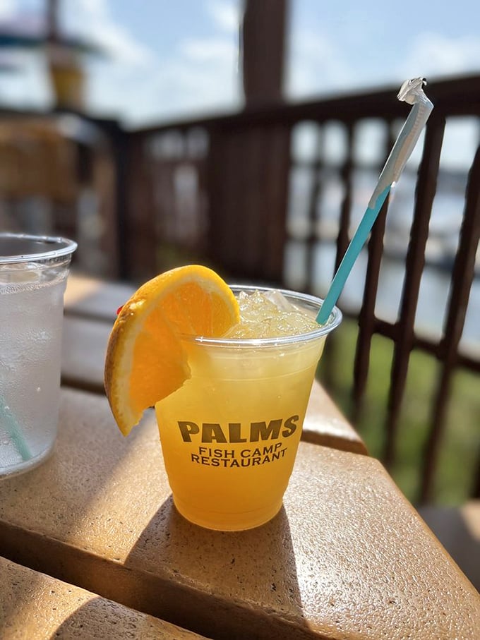 A Palms Punch that tastes like vacation in a plastic cup. The orange slice isn't garnish – it's a reminder you're in Florida's citrus paradise.