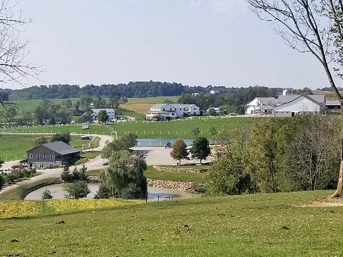 The quintessential Amish Country landscape&mdash;where perfectly maintained farms make your meticulously mowed suburban lawn look like amateur hour.