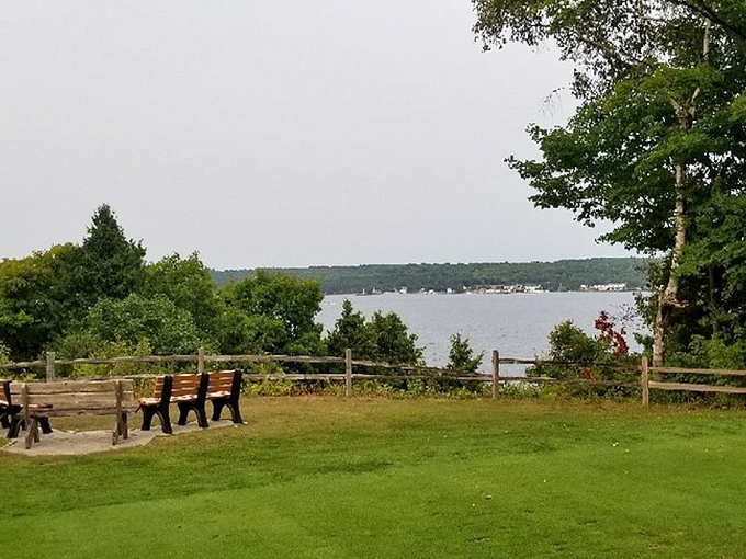 Benches with million-dollar views that cost nothing but your time. The kind of park vista that makes retirement brochures jealous.