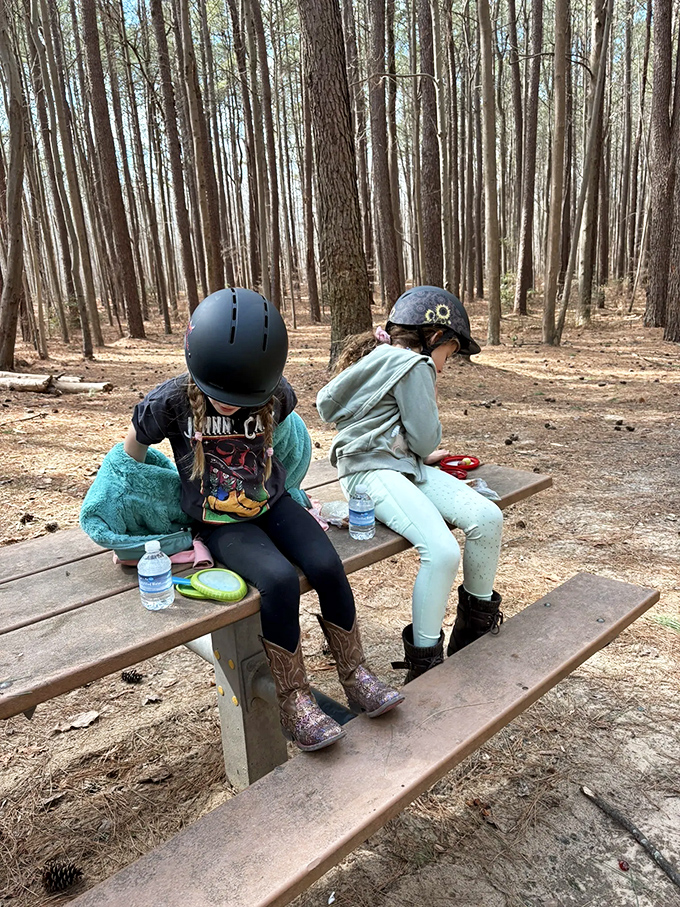 Picnic perfection for young adventurers. Even in our digital age, nothing beats trail mix and water bottles after exploring nature.
