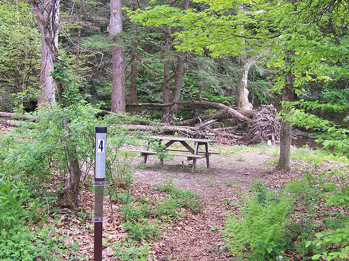 Picnic spot or outdoor dining room? Either way, this table comes with a soundtrack of birdsong and a ceiling of hemlock branches.