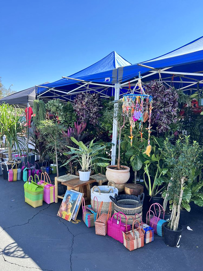 A jungle oasis amid the asphalt sea. These plants and colorful woven bags offer a slice of tropical getaway without the airfare or passport stamps.