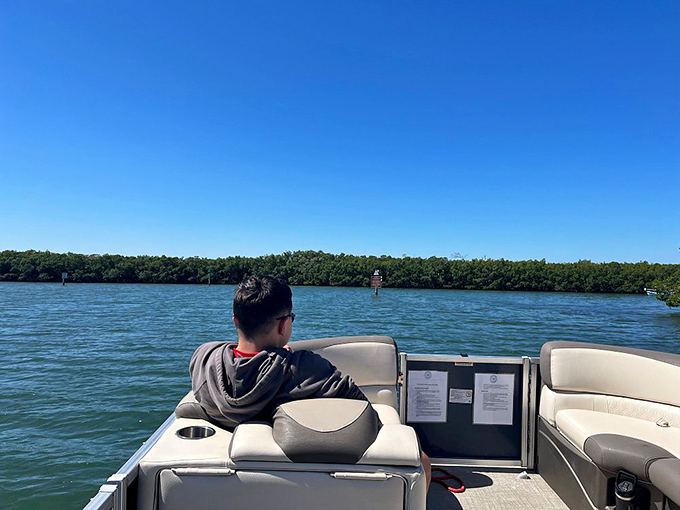 Navigating mangrove tunnels by pontoon boat&mdash;nature's version of a theme park ride, minus the long lines and overpriced snacks.