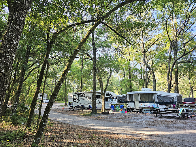 Glamping, Florida-style. These shaded RV spots offer all the comforts of home with nature's greatest hits just outside your door.