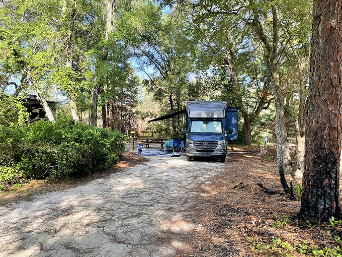RV camping that doesn't feel like a parking lot. This spot offers just enough civilization without sacrificing your wilderness credentials.